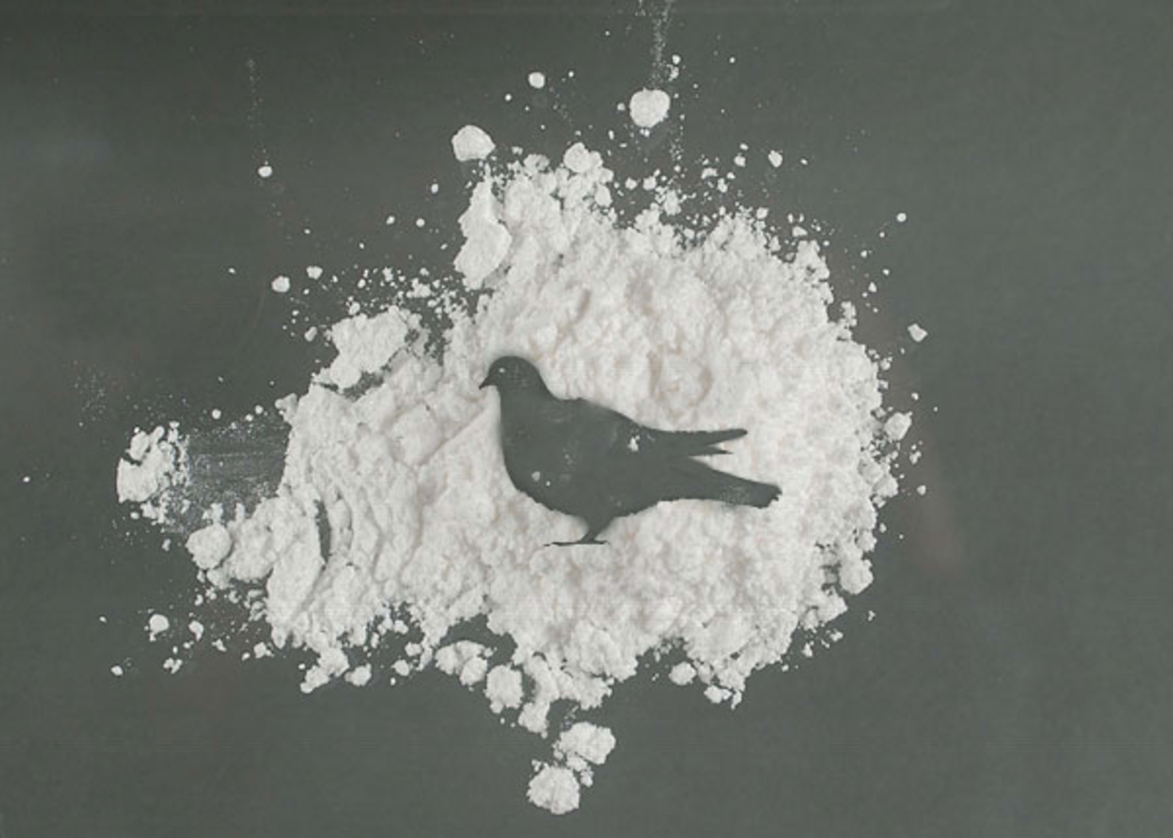 The 35 Best Songs About Drugs