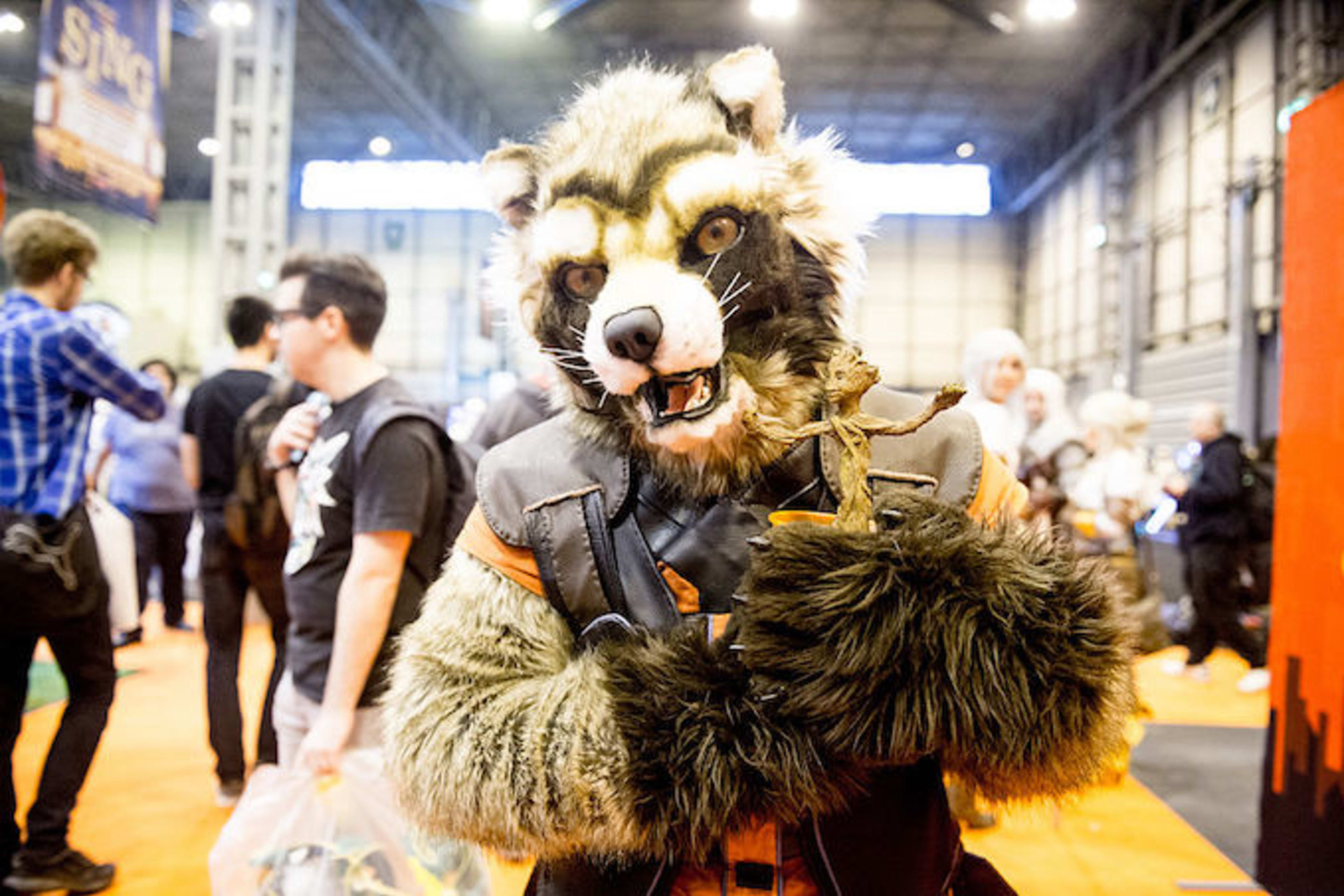 'Guardians of the Galaxy' Real-Life Model, Oreo the Raccoon Has Passed Away