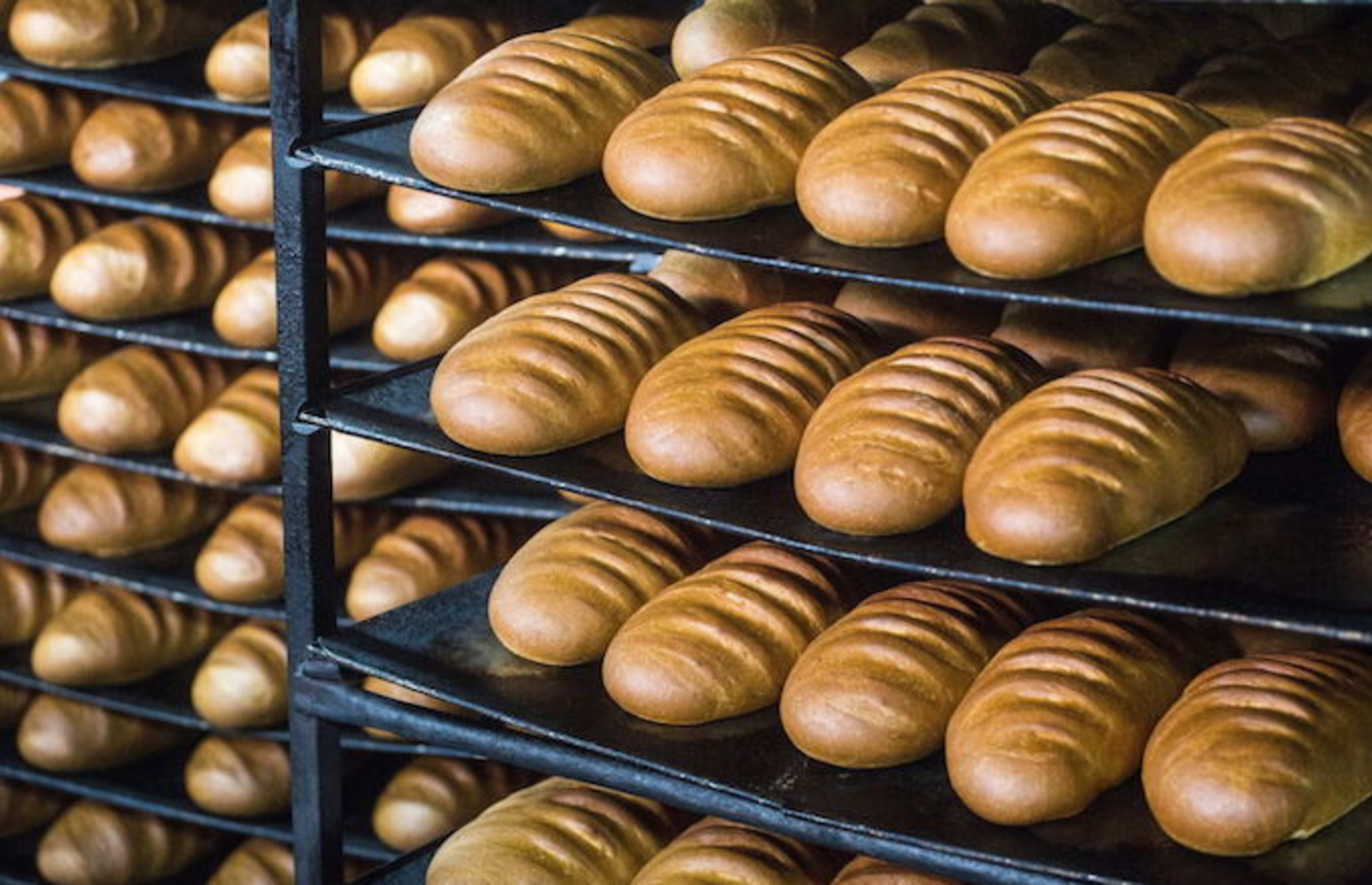 The ‘Let’s Get This Bread’ Meme Is Here to Stay