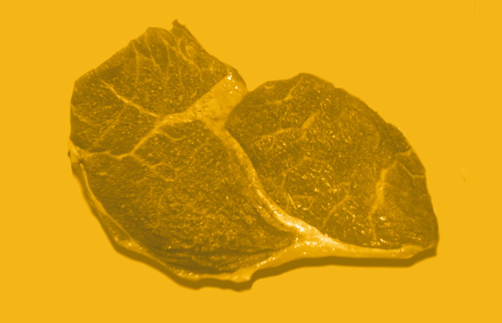 The Corniest Rap Beefs of All Time