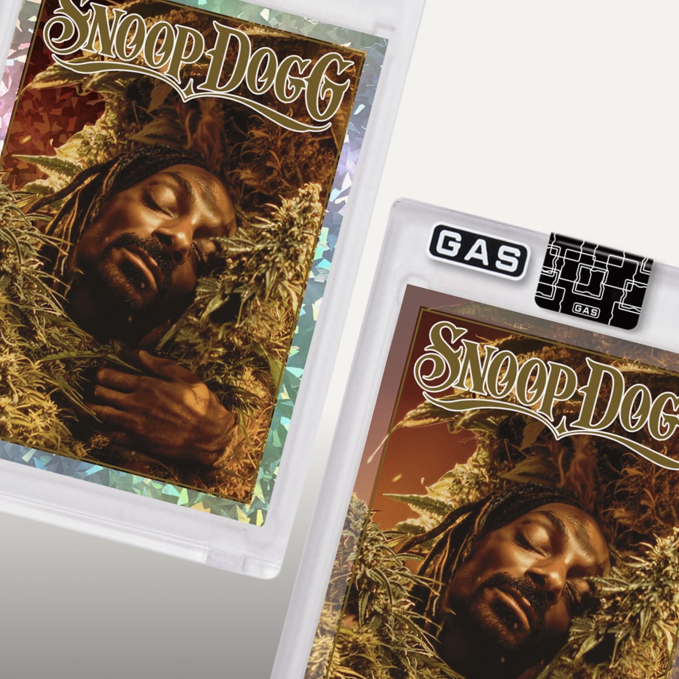 Snoop Dog x GAS Trading Cards | Last Dance With Mary Jane C…