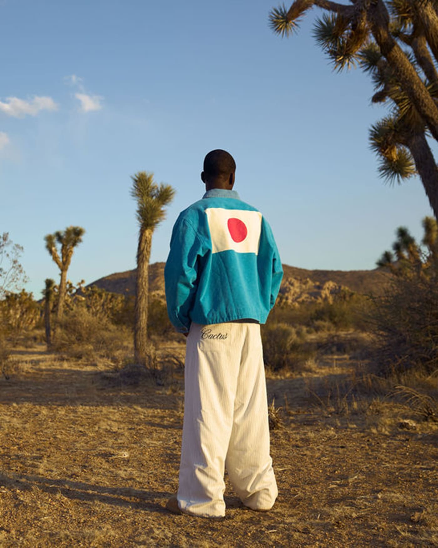 Explore Our AZVA Merch | Complex Shop