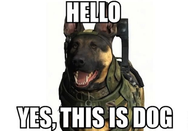 Is that what all of the money we spent on obedience training got us?