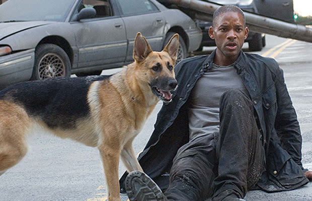 Sam In "I Am Legend" - When Animals Out-Act: 10 Animals That Stole ...
