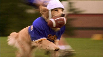 Football - Air Bud Sports Ranked | Complex