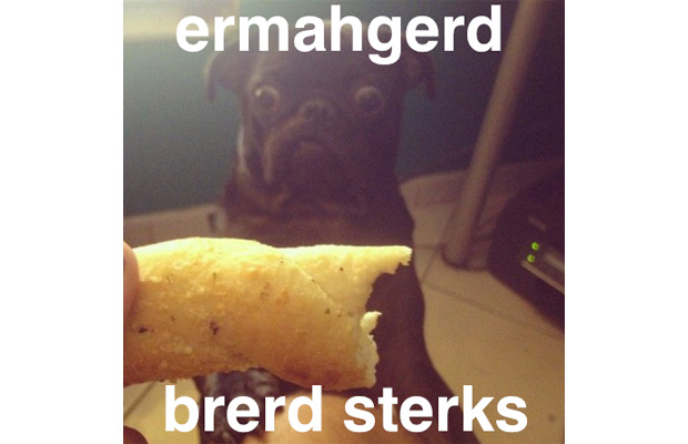 Ermahgerd Dog Memes