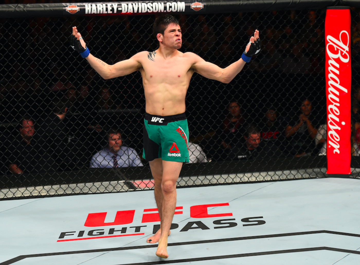Breakdown of UFC Weight Classes | Complex Breakdown of UFC Weight Classes | Complex
