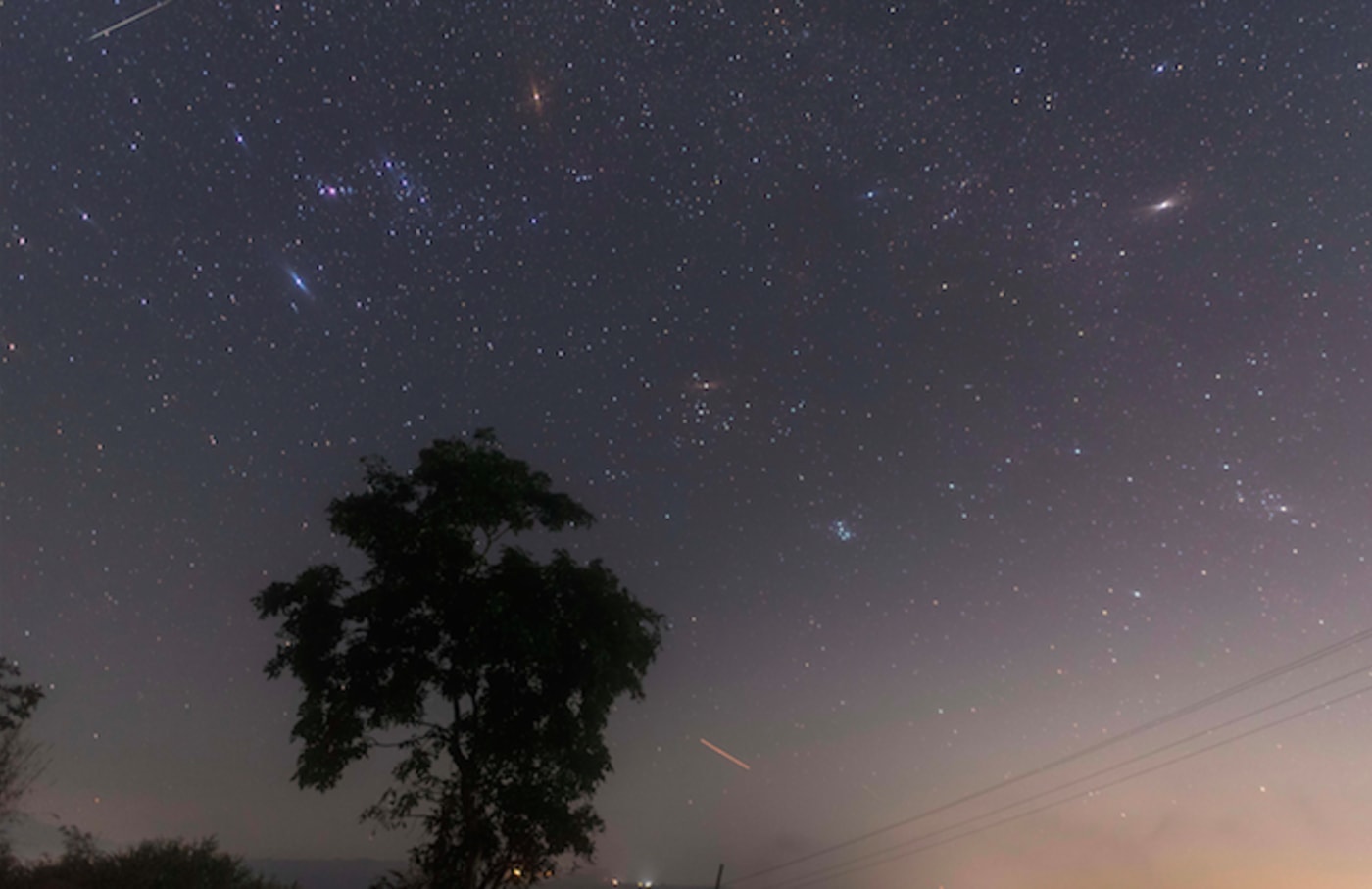 Skull-Shaped Asteroid, Known as ‘Death Comet,’ Will Fly Near Earth ...