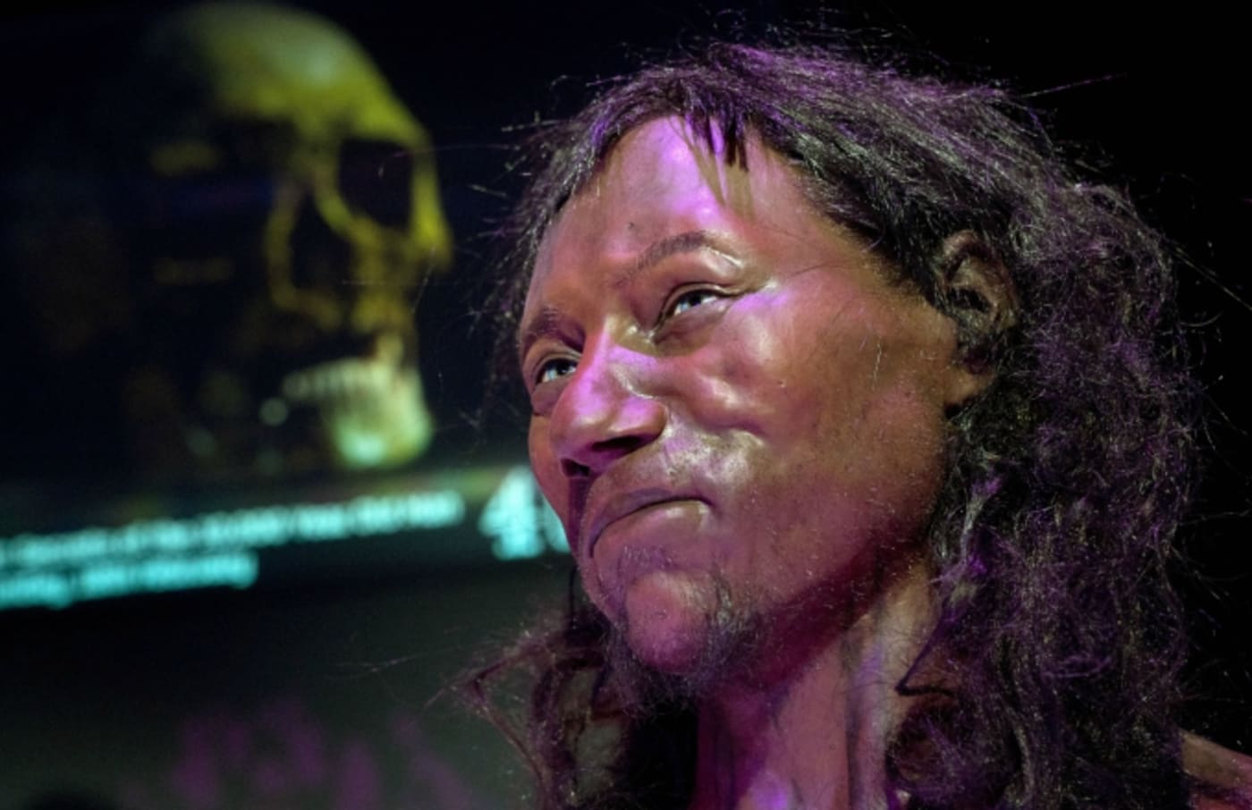 10,000-Year-Old ‘Cheddar Man’ Skull Reveals Earliest British People Had ...