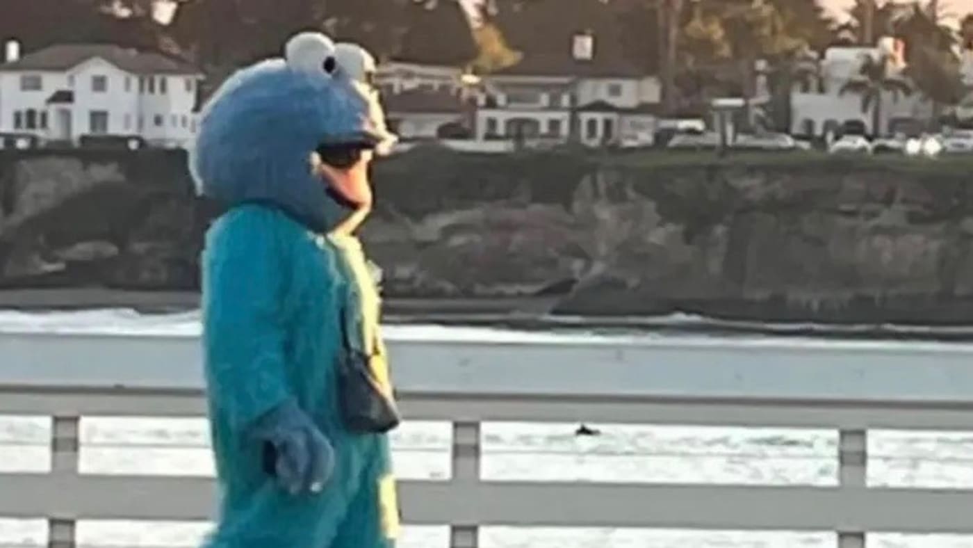 Police Urge Residents to Avoid ‘Creepy’ Man Dressed as Cookie Monster ...