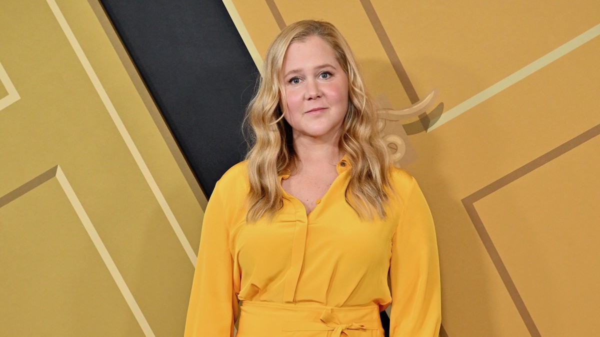 Amy Schumer Jokes About Midterm Elections and Past Pregnancy on ‘SNL ...
