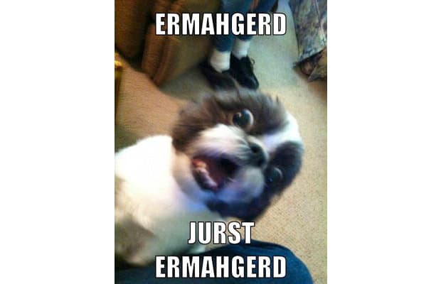42. Oh My God - The Funniest Ermahgerd Memes | Complex